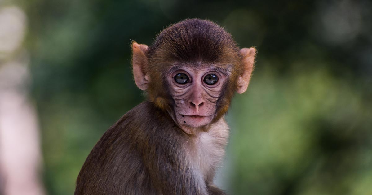 About Imo - Project Imo Our Mission, Vision, and Core Values